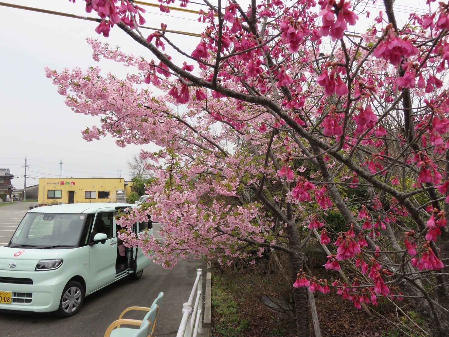 日奈久便り ☆Part4☆ – ひなたグループ